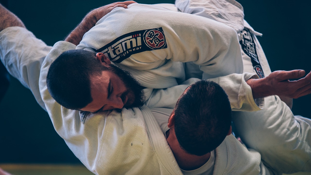 Brazillian Jiu-Jitsu vs. Traditional Boxing: What’s Right For You ...